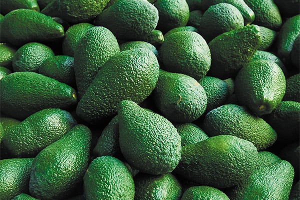 Grower Resources | Avoco