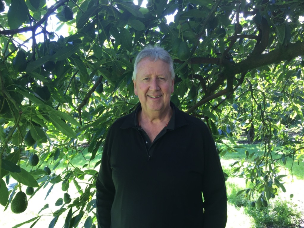 A fresh voice | Avoco