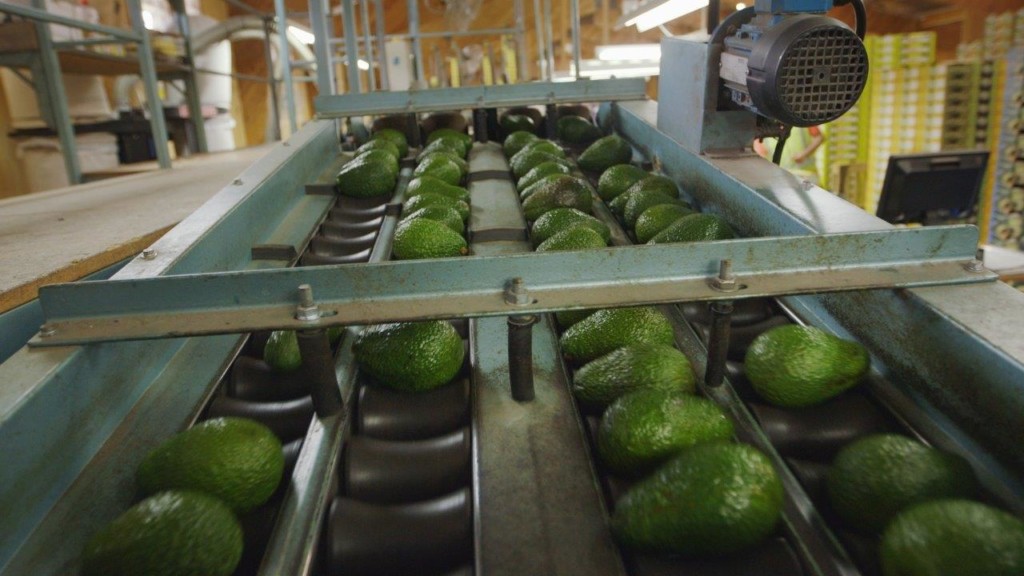 Volume to Australia well up amid disrupted export season to Asia | Avoco