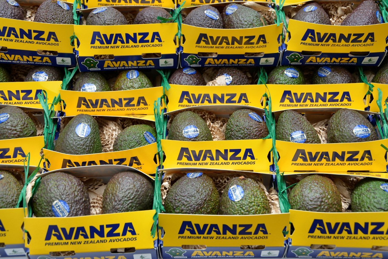 Avanza In-Market Photos | Avoco